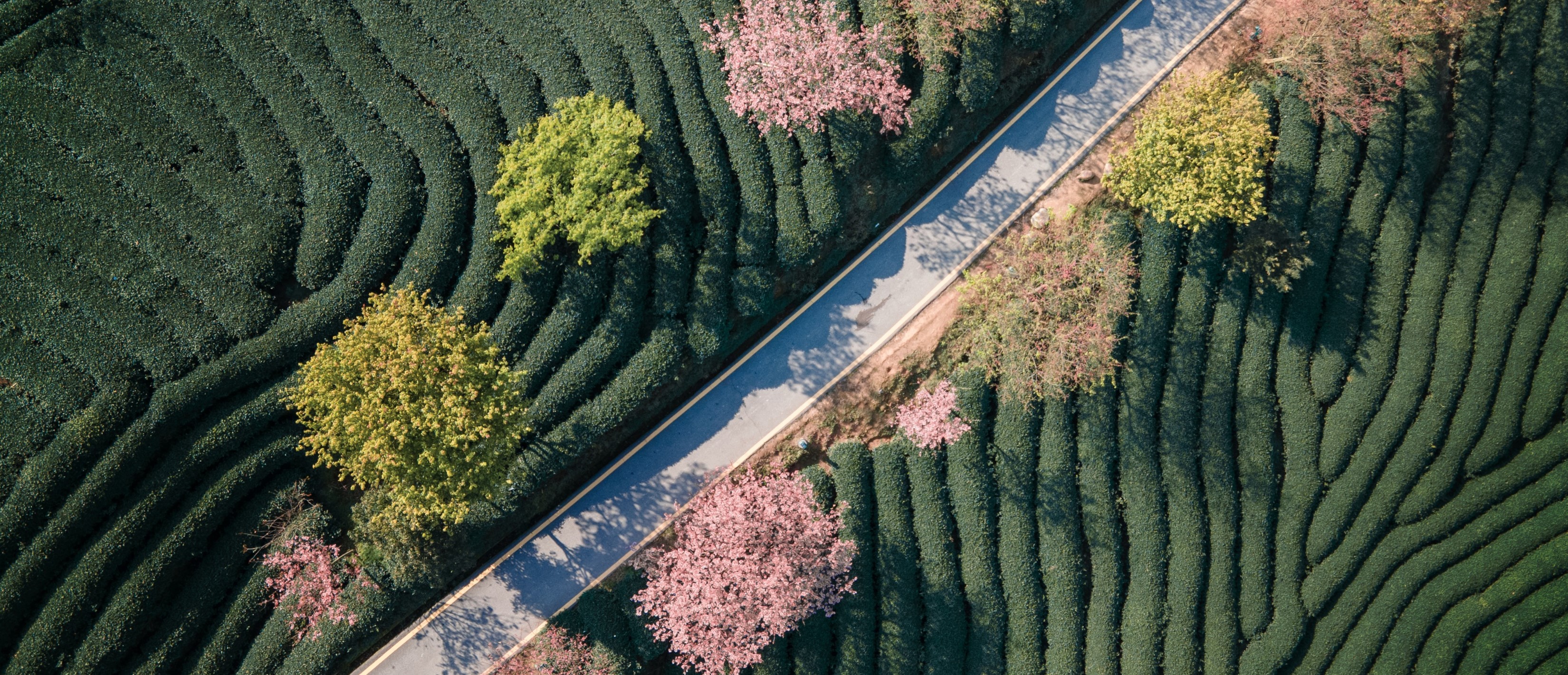 Home | The Ardonagh Group